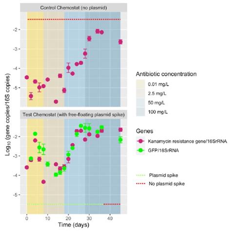 Relative Abundance Of Green Fluorescent Protein Gfp Gene And