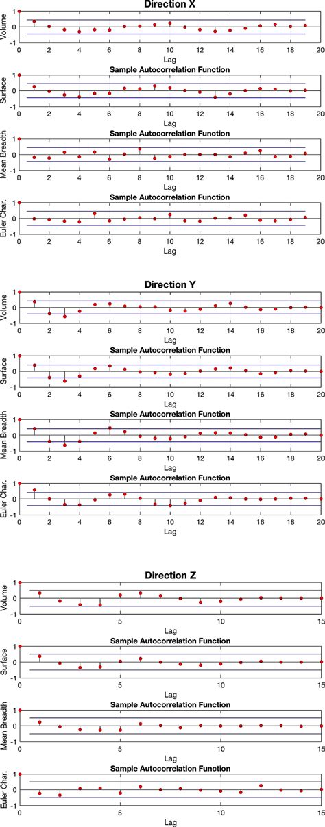 The Empirical Autocorrelation Functions Of The Minkowski Functionals