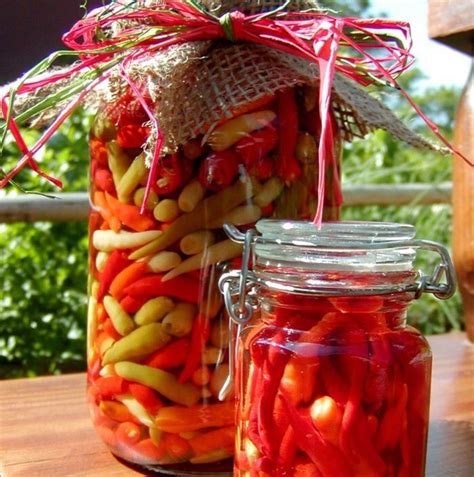 Мариную горький жгучий перец острая вкуснятина зиму Рецепт с огоньком и с изюминкой В саду