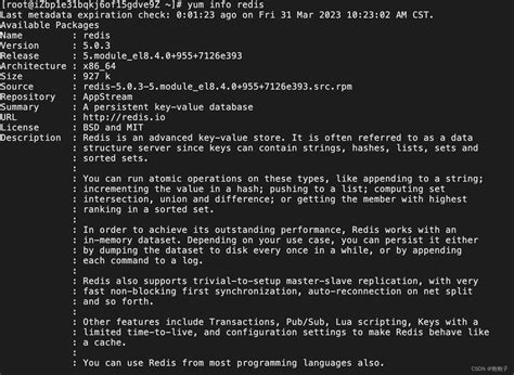 linux服务器 centos查看 安装 启动redis centos查看redis状态 csdn博客