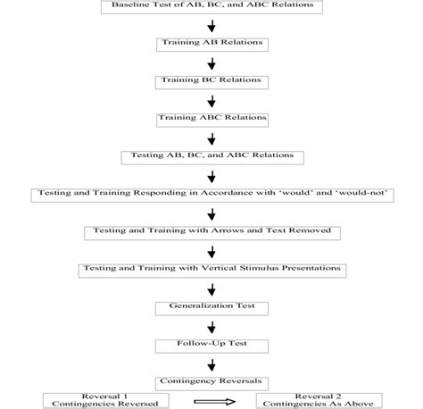 a schematic representation of the experimental sequence download