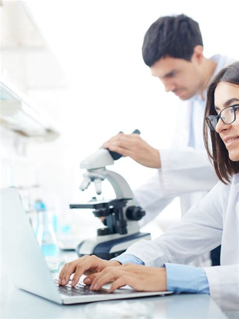 Systematic Review VS Meta Analysis Elsevier Blog