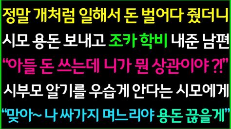 사이다사연 정말 개처럼 일해서 돈 벌어다줬더니 시모 용돈 보내고 조카 학비 내준 남편 시부모 알기를 우습게 안다는 시모에게 용돈끊고 손절합니다 드라마라디오 사이다실화사연