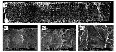 Sem Micrographs Of A Representative Welded Sample Produced By Pulsed