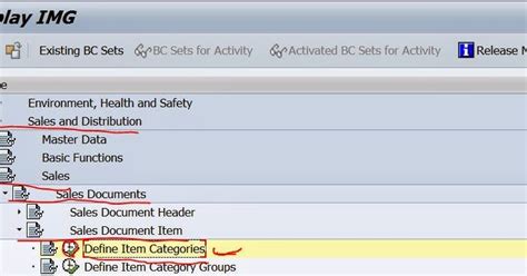 TECHSAP Defining New Item Category In SAP SD