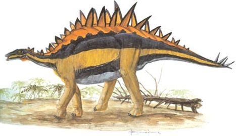Tuojiangosaurus Everything Dinosaurs