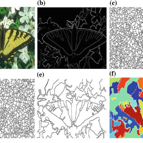 a input image b ground truth image c morphological watershed download scientific diagram