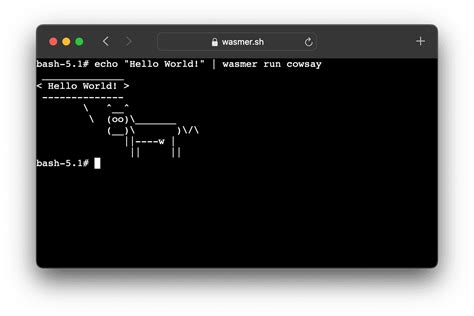 Introducing The New Wasmer Js Sdk · Blog · Wasmer