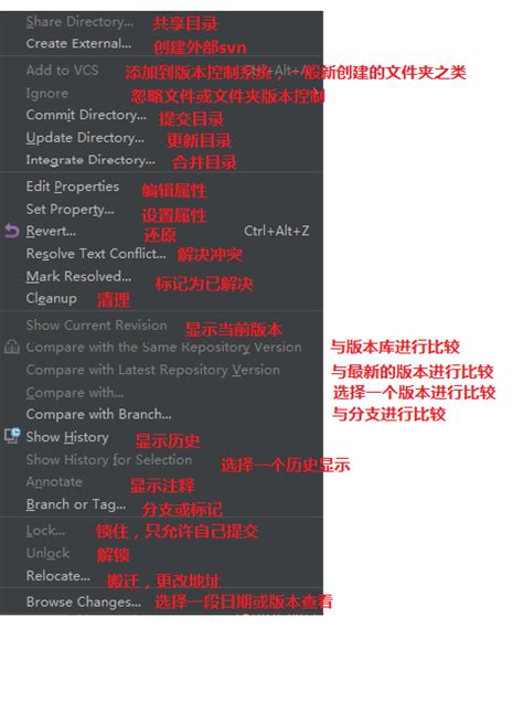 Intellij Idea 下的svn配置及使用的非常详细的图文总结svn怎么看增加了多少代码 Csdn博客