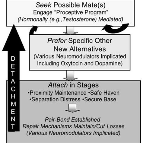 National Level Of Sociosexuality Related To Operational Sex Ratio