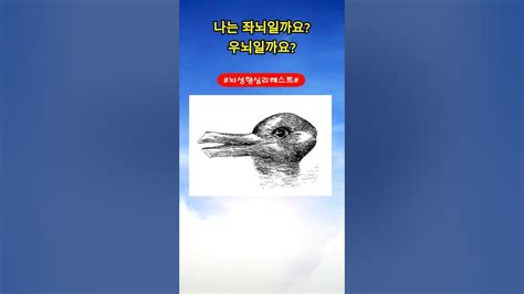 보는 순간 결정되는 좌뇌·우뇌 성향 테스트심리테스트뇌성향테스트좌뇌우뇌 Youtube