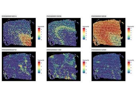 2 Visualizing Singlecellexperiment Or Spatialexperiment Objects