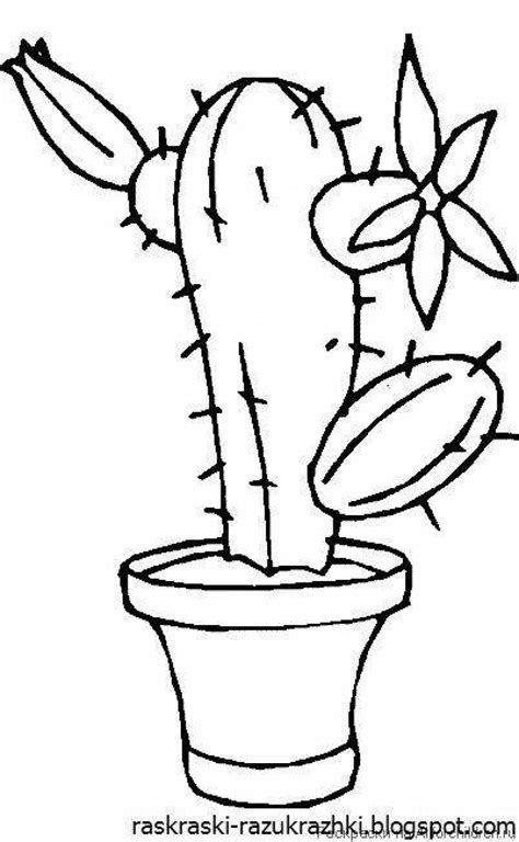 Раскраски Уход За Комнатными Растениями 69 фото