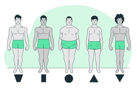 Are You An Ectomorph Mesomorph Or Endomorph Fitness Freak