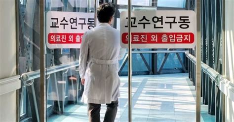 의대교수 95 의대 증원 맞춘 강의실 등 적절히 준비 안돼