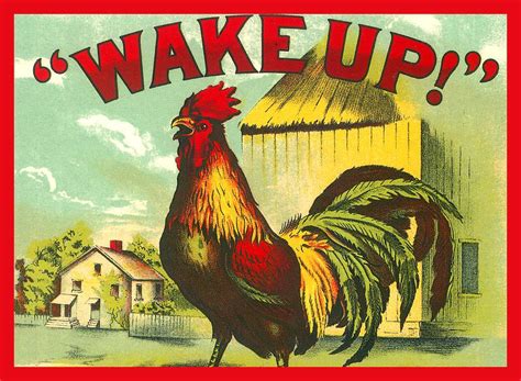 Rooster Wake Up Animation