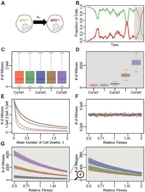 The Single Mutation Model A Schematic Representation Of The Single Download Scientific