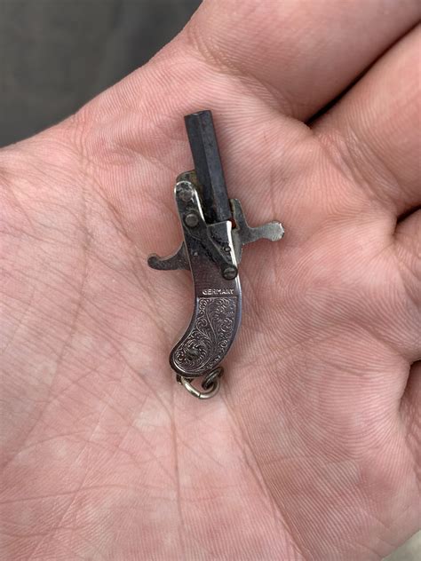 What Is This Worth Found With Tiny Pellets Rguncollecting