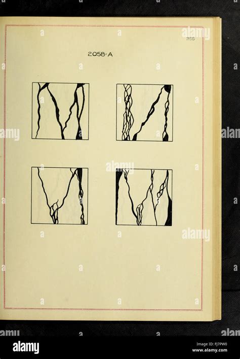 A Scientific Exploration Of Concretes Behavior Under Bi Axial Loading