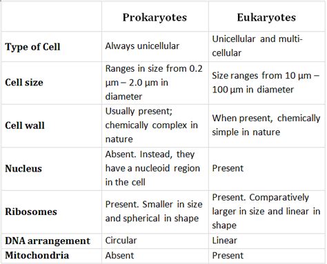 Difference Between Prokaryotes And Eukaryotes