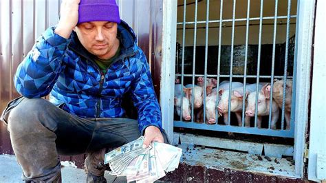 ПРОДАВ ТЮЛЬПАНА,один як два по 160кг затянув по грошам.... - YouTube