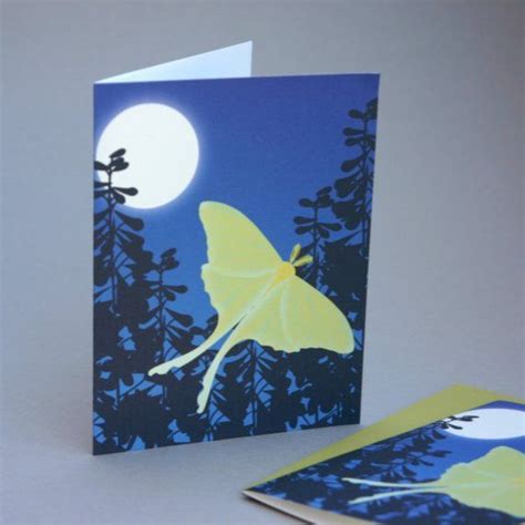 luna moth notecards set of 4 insect bug spring summer woodland natural