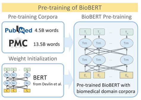 Biobert A Pre Trained Biomedical Language Representation Model For Biomedical Text Mining
