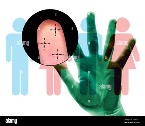 Fingerprint Biometrics Computer Artwork Of A Hand Green A Finger