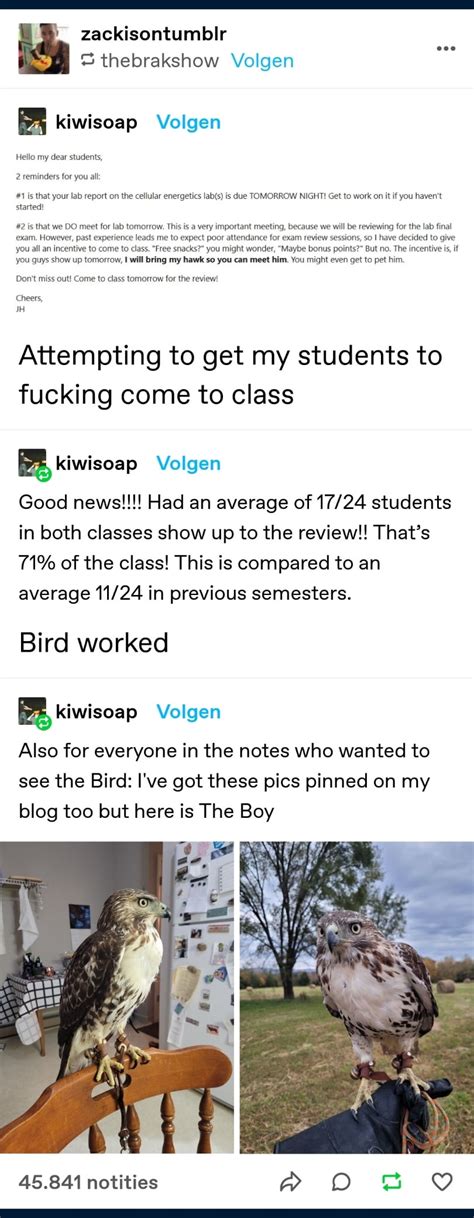 I Would Also Come To Class Probably R Tumblr