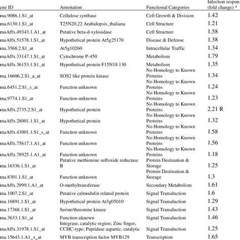 1 Functional Classification Of Genes Significantly Up Regulated Download Table