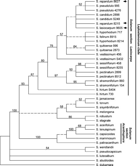 50 Majority Rule Consensus Tree From The Aligned Data Set With Indels Download Scientific
