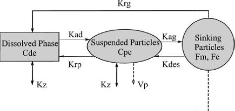 Figure 1 From Selecting A Global Optimization Method To Estimate The Oceanic Particle Cycling