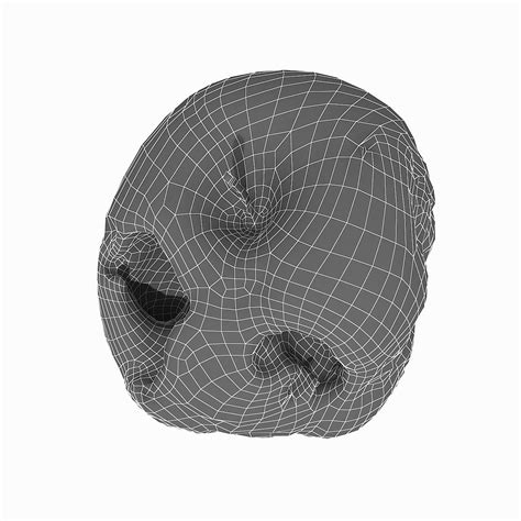 Rotten Decayed Apple 4 3d Model 59 Unknown Max 3ds Fbx Obj Free3d