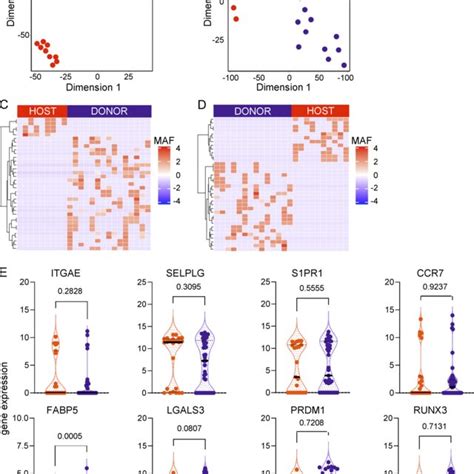 Figure S4 Single Cell Rna Expression A Representative T Sne Plot Of
