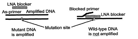 Block Detection Patented Technology Retrieval Search Results Eureka Patsnap