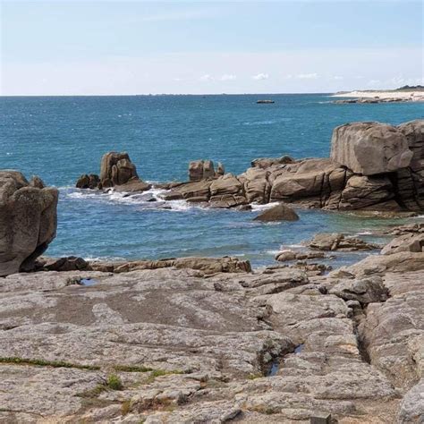 Seagull On The Rocks Near The Ocean