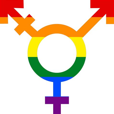 Lgbtq Gender Icon Png 24393070 Png
