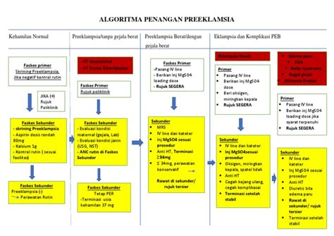Algoritma Penanganan Eklampsia Pdf