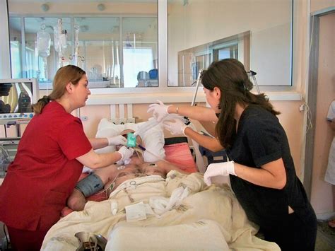 საზოგადოებრივი კოლეჯი პანაცეა ტექნიკური და პროფესიული განათლება და