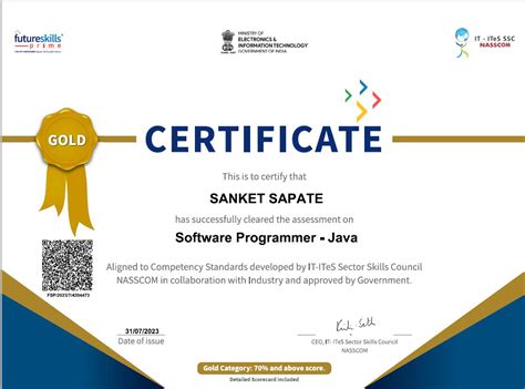 Sanket Sapate On Linkedin Javadeveloper Certification Nasscom Softwaredevelopment
