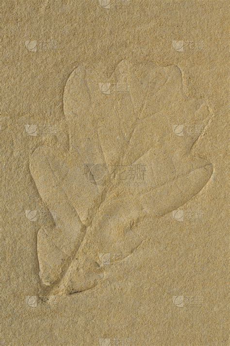 带有橡树叶图案的手工纸