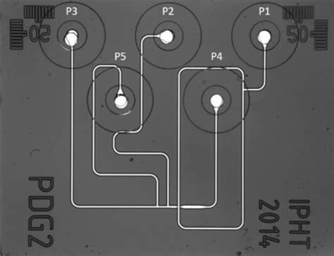 A Microfluidic Network Solver For Pressure Prediction Fluigent