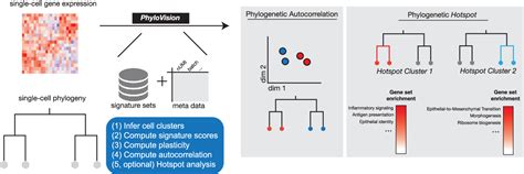 Figure 2 From Interactive Integrated Analysis Of Single Cell Transcriptomic And Phylogenetic