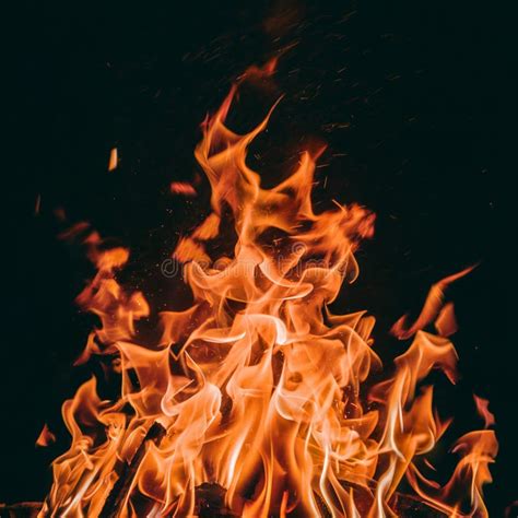 Vivid Fire Flames Dancing On A Black Background Intense And Dramatic