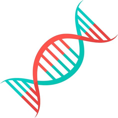 Premium Vector Illustration Of Dna