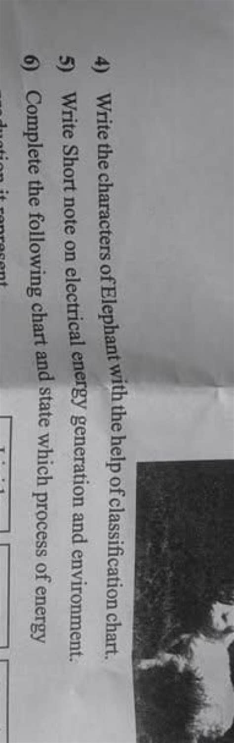 4 Write The Characters Of Elephant With The Help Of Classification Chart