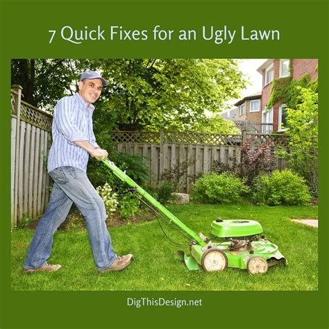 7 Quick Fixes For An Ugly Lawn Dig This Design Patricia Davis Brown