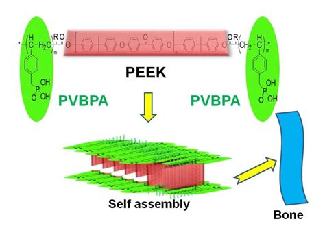 Self Assemblies Of Polyether Ether Ketone Block Copolymers For Biomedical Applications Trunicle