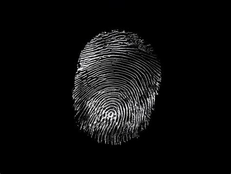 Fingerprint Identity Thumbprint For Criminal Scene Or Id Authentification Stock Illustration