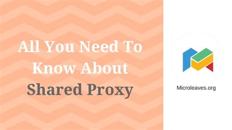 All You Need To Know About Shared Proxy Microleaves Proxy Services